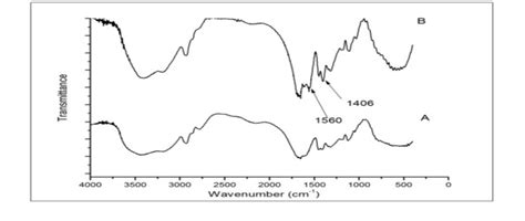 Ftir Spectra Of A Polyacrylamide Gel Without Alkaline Hydrolysis And