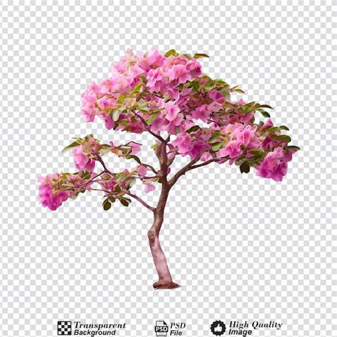 Small Pink Tree Images Free Download On Freepik