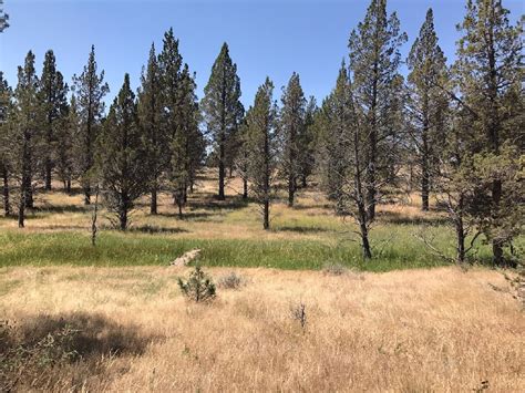 Republic Of Molossia Photo Album