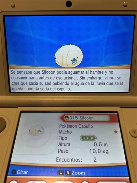 [6] Random Full Odds Silcoon While Ev Training My New Spinda R