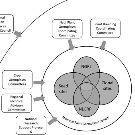 Map Of Usda Ars National Plant Germplasm System Collection Genebanks Download Scientific Diagram