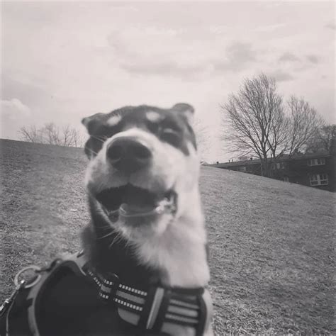 Wind Inside My Cheeks Scrolller Wind Inside My Cheeks Scrolller