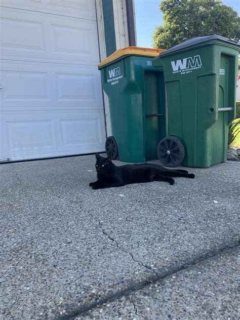 Void Of The Grass Scrolller