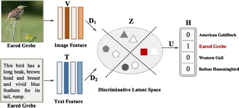 Figure 1 From Fine Grained Image Text Retrieval Via Discriminative