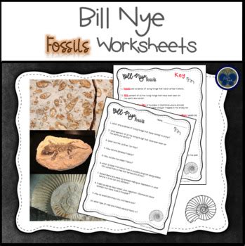 Bill Nye Fossils Worksheets By Love Duck Teachers Pay Teachers