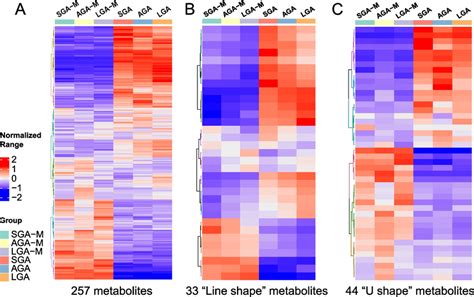 Heatmap Showing Normalized Metabolite Abundance In Different Groups A