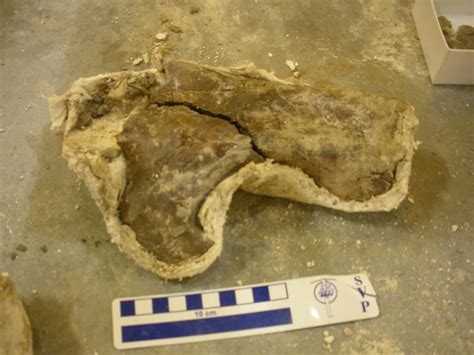 Alberta Unearthed Self Asserting Complete Presence