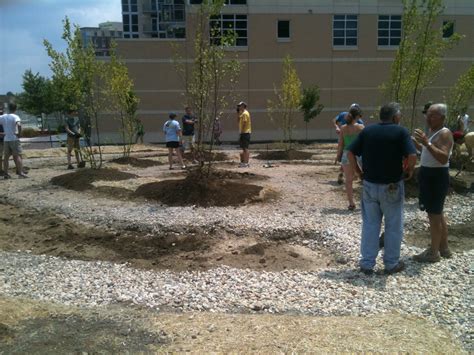 David Stemper Memorial Rain Garden June 12 Volunteer Work Day