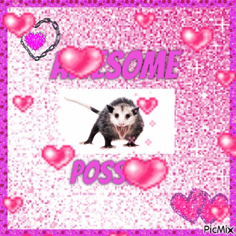 Awesome Possum Free Animated  Picmix
