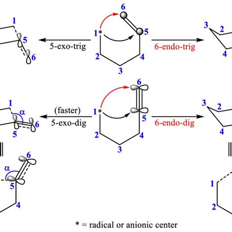 Trig And Dig Cyclization Ts Structures For 6 Carbons Skeletons