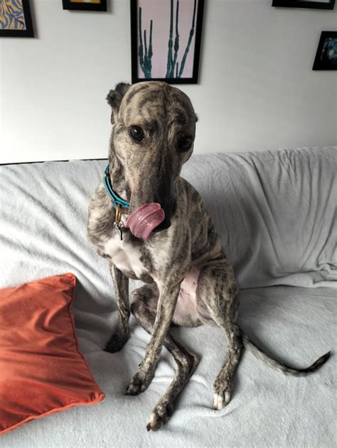 Miss Ariel Back With An Even Better Tot Just Over 2 Weeks Home And Her