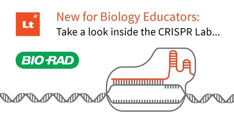 Mohammad Farooque Posted On Linkedin