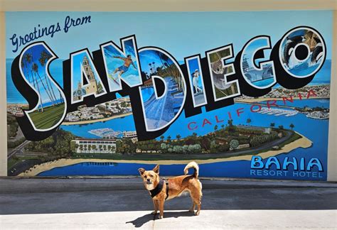Best San Diego Hotel ⋆ Interaction