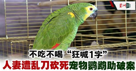 Sin Chew Daily 星洲日報 On Twitter 后来经过调查证实，此人果然就是谋财害命的真凶，本周被宣判无期徒刑