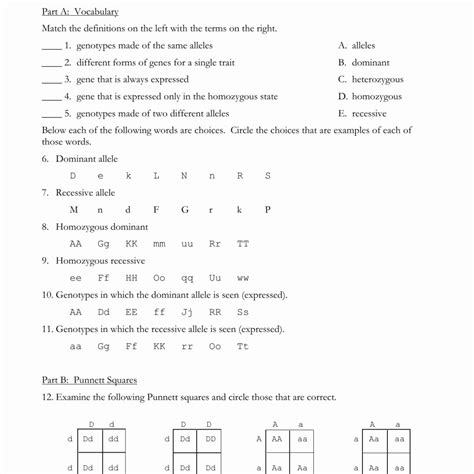 Monohybrid Cross Worksheet Answer Key Worksheets Samples