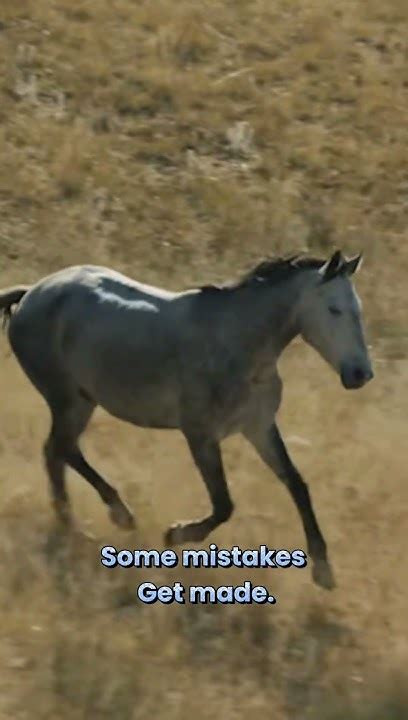 Dont Give Up 🫂 Youtube