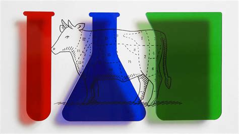 What Is Lab Grown Meat And When Will It Reach Supermarkets Bon Appétit