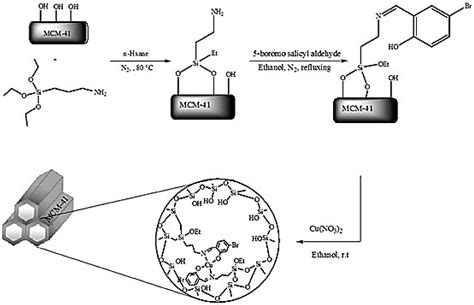 Catalysts Free Full Text Functionalized Ordered Mesoporous Silicas Mcm 41 Synthesis And