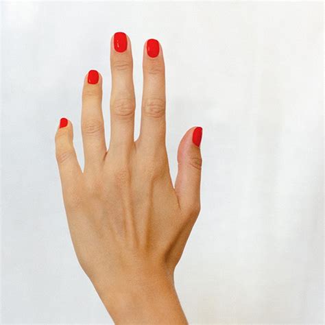 Passion Hand Image Organic Bunny