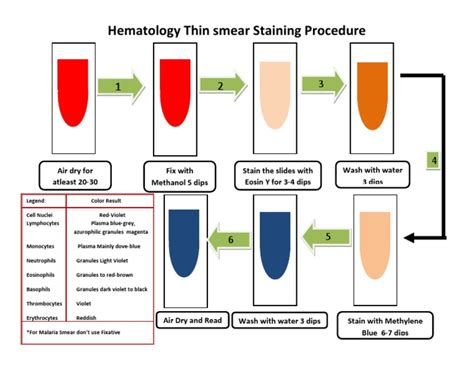 Hema Stain Procedure Pdf