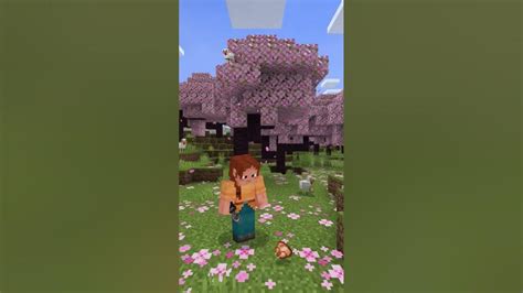 Prathamesh Gawande Youtuber Short Film Minecraft Xbox Youtube