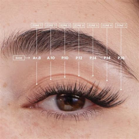 Técnicas De Mapeo De Pestañas Para Diferentes Formas De Ojos