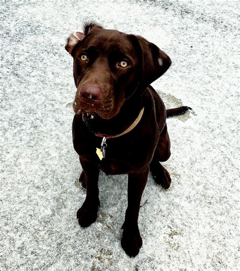 Happy 17th Anniversary Elevation Who Is This New Singer In Elevation Worship She Is So