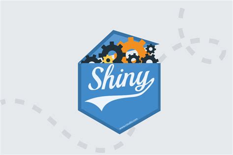 Shiny Source Code Explained Shiny Options And Developer Mode Hypebright