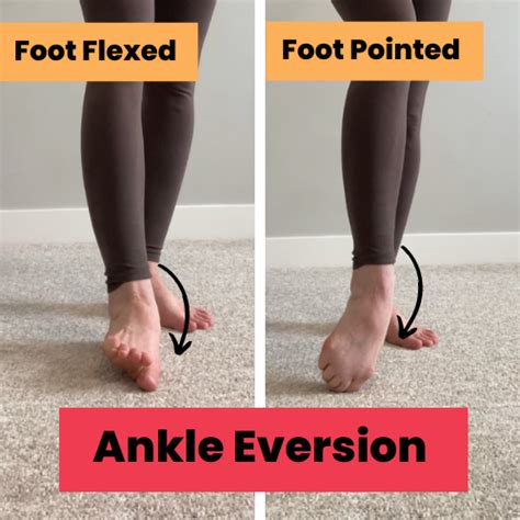 Ankle Stability Conditioning Drills For Dancers — Amozouk