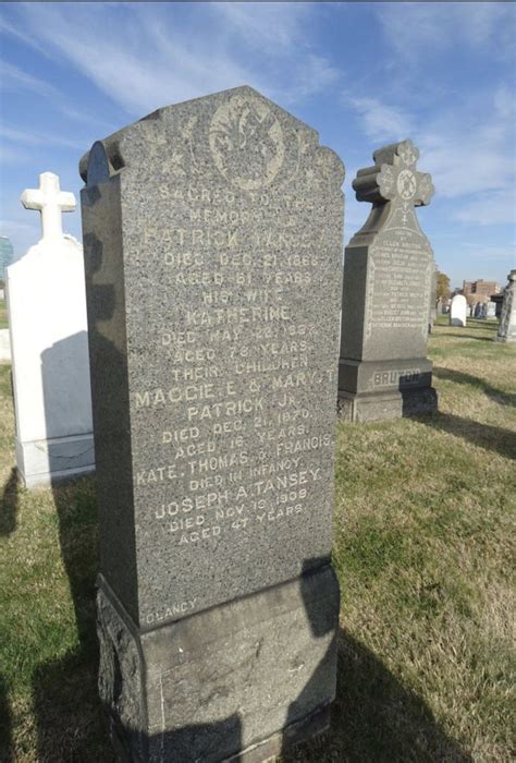 Patrick Tansey Civil War Soldier Researching Civil War Records And Ancestry