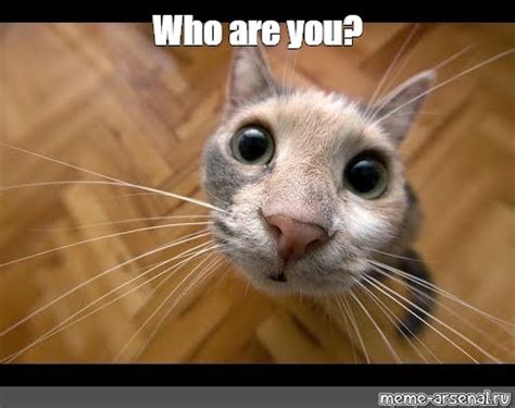 Meme Who Are You All Templates Meme