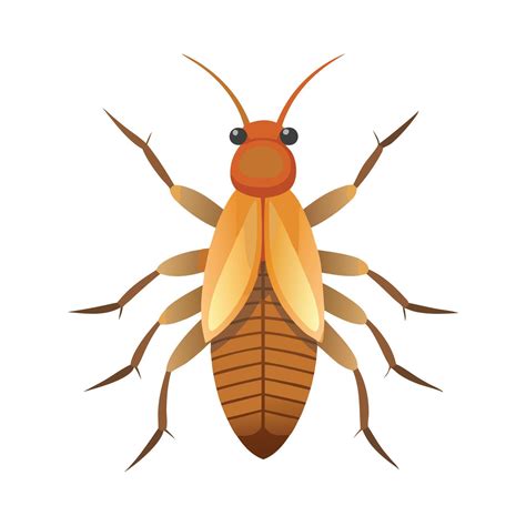 Termite Insect Flat Illustration On White Background 47422985 Vector