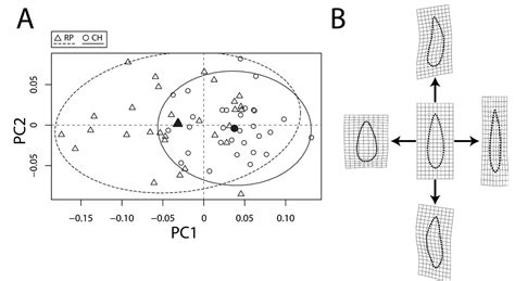Principal Component Graph Displaying Profile Shape Variance
