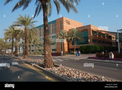 Innovation Cluster Building On Campus Of The King Abdullah University