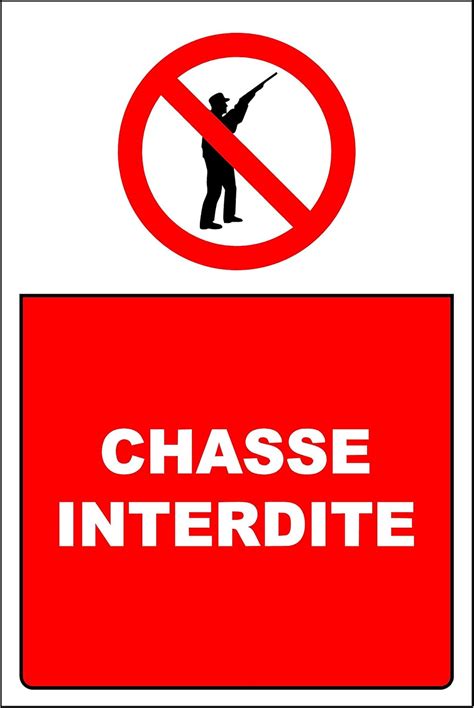 Panneau Chasse Interdite 12mm En Plastique 300mm X 200mm Amazonfr
