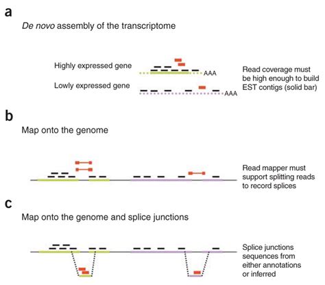 Approaches To Handle Spliced Readsa In De Novo Transcriptome