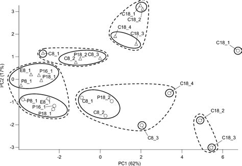 Interpreted Pc1 Pc2 Score Plot Of The Column Solvent Couples Obtained Download Scientific