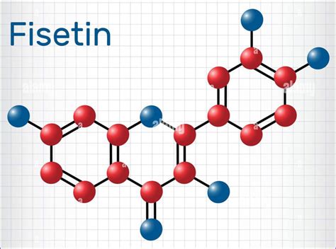El Potencial Antioxidante Anti Inflamatorio Y Neuroprotector De La
