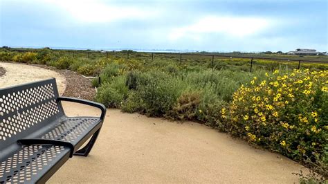 Meet Wildlife Up Close At The Living Coast Discovery Center Go Visit