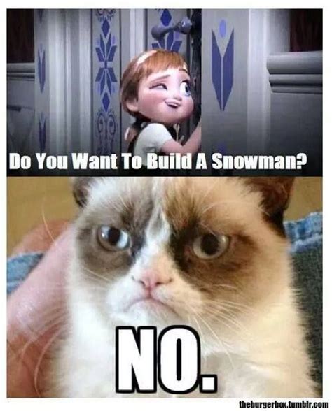 Frozen Grumpy Cat