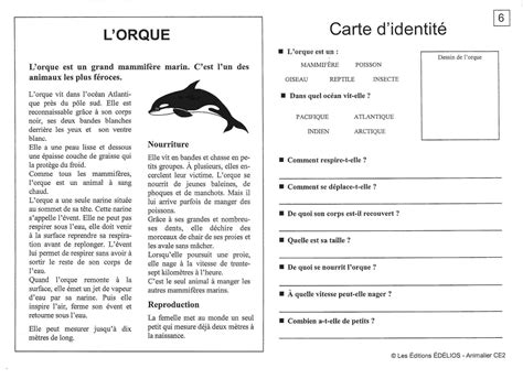 Ce2 Fiche De Lecture Lecture Ce2 Fiche De Lecture Cm1 Lecture Suivie Ce1