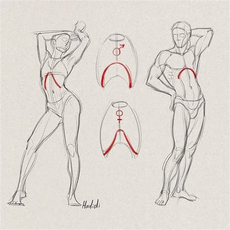 Ribcage Arch تفاوت قوس دهانه قفسه سینه