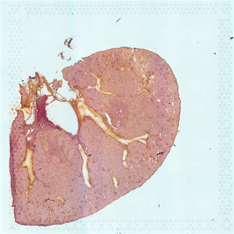 Deepspacedb Dsid000503