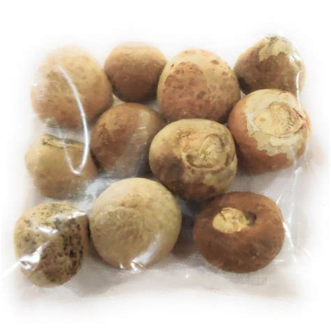 Supadi For Pooja Tiwari Pujan Bhandar