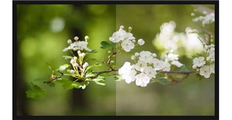 Led Screen Contrast Ratio And Its Impact Yuchip