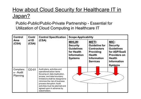Csa Ccm And Healthcare Related Guidelines Pdf Cloud Computing Internet