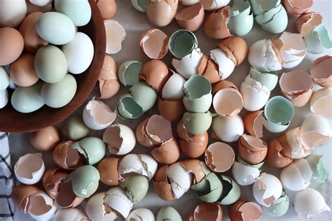 How To Make Eggshell Powder And 10 Ways To Use It — Practical Self