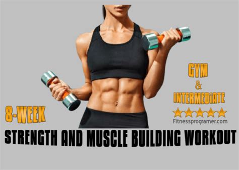 Strength And Muscle Building Workout Program For Women Fitness Programer