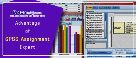 Why Do You Need Professional Help With Your Spss Assignment Dream