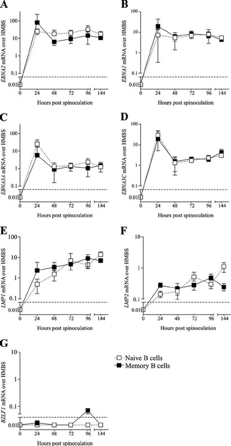 Ebv Gene Expression Patterns Are Similar In Tonsillar Memory And Naı